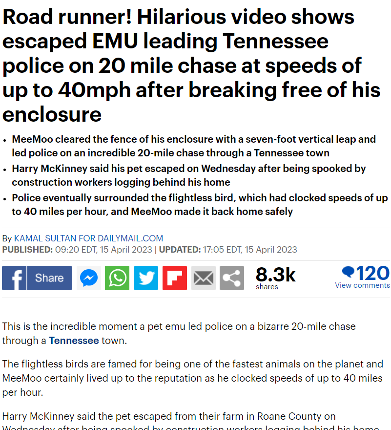 Meeting MeeMoo the Emu – Roane Tourism